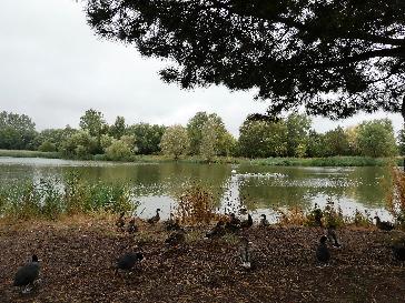 Nottingham - BBC Weather