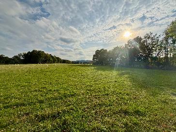 Nuneaton - BBC Weather