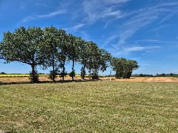 Audley - BBC Weather