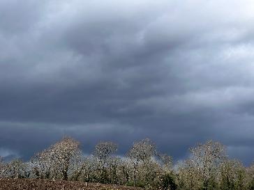 Leicester - BBC Weather