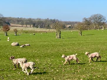 Baldock - BBC Weather