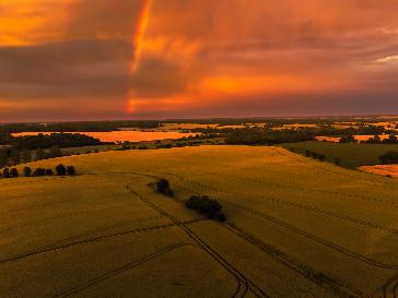 Chelmsford - BBC Weather
