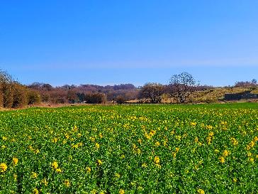 Doncaster - BBC Weather