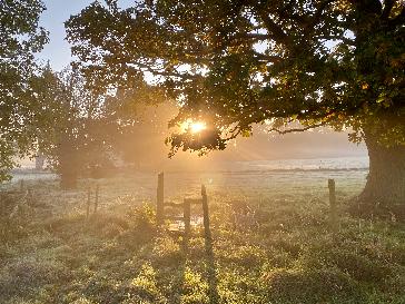 Lichfield - BBC Weather