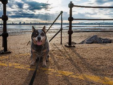 Runcorn - BBC Weather