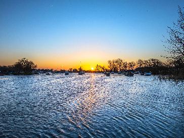 Ringwood - BBC Weather