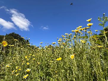 Portishead - BBC Weather