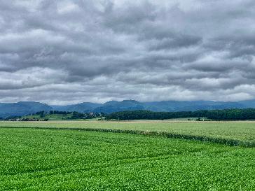Aberfoyle - BBC Weather