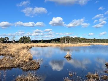 Staines-upon-Thames - BBC Weather