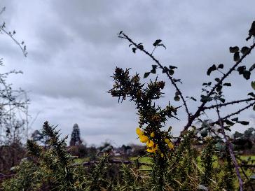 Chelmsford - BBC Weather