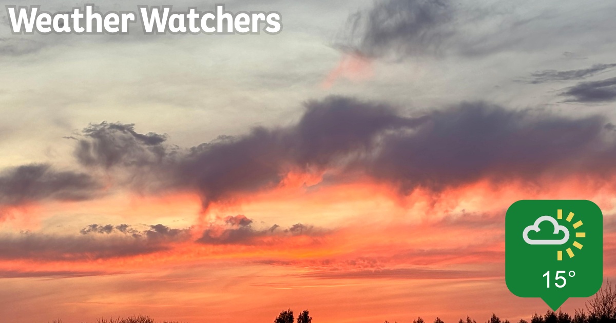 Report - BBC Weather Watchers