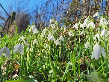 Bromyard - BBC Weather