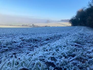 Reading - BBC Weather