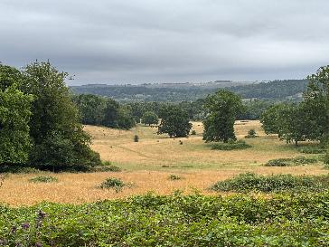 Trowbridge - BBC Weather