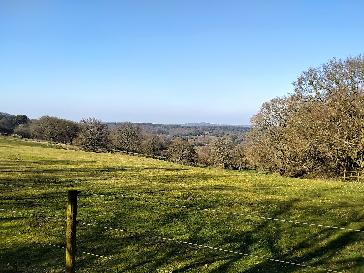 Woking - BBC Weather