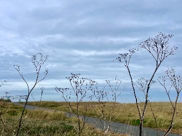 Teynham - BBC Weather