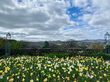 Wallsend - BBC Weather