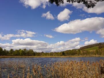 Dundee - BBC Weather