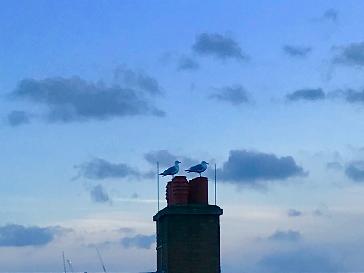 Croydon - BBC Weather