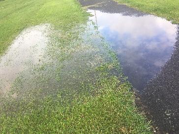 Walsall - BBC Weather