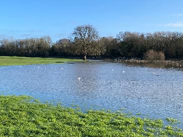 Warwick - BBC Weather