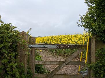 Farnborough - BBC Weather