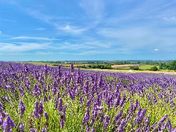 Luton Airport - BBC Weather