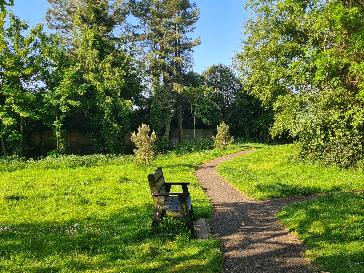 Newtownabbey - BBC Weather