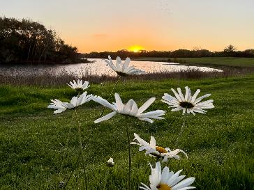Redditch - BBC Weather