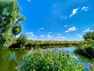 Bedford - BBC Weather