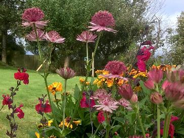 Downpatrick - BBC Weather