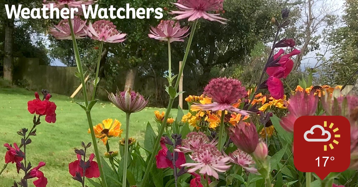 Report - BBC Weather Watchers