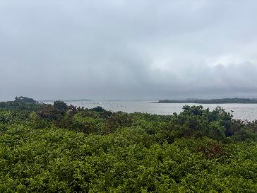 Poole - BBC Weather