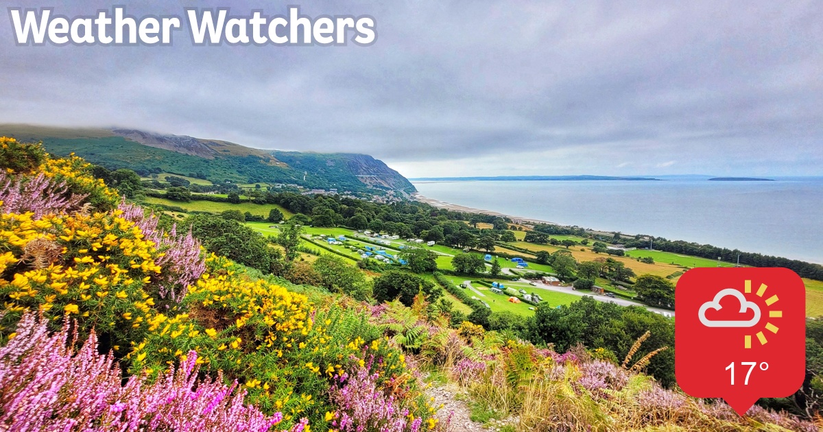 Report - BBC Weather Watchers