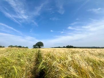 Bingley - BBC Weather