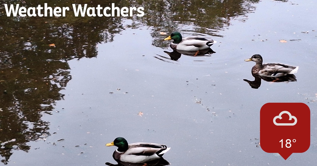 Report - BBC Weather Watchers