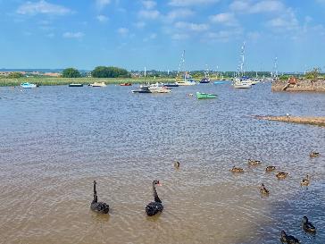 Torquay - BBC Weather