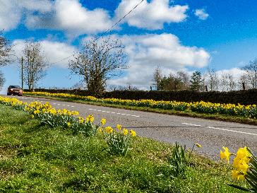 Congleton - BBC Weather