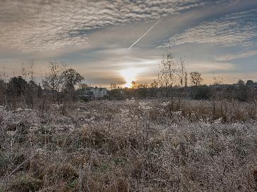 Wokingham - BBC Weather