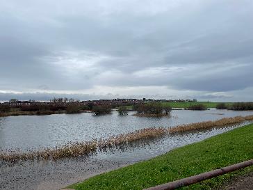 Sutton - BBC Weather