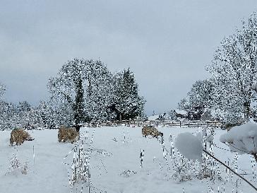 Sandbach - BBC Weather