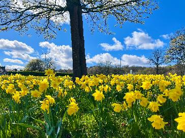 Dunblane - BBC Weather
