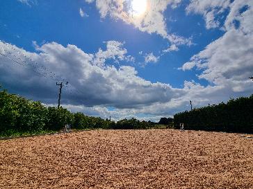 Nottingham - BBC Weather