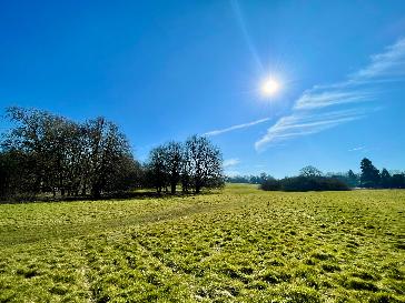Colchester - BBC Weather