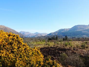 Greenock - BBC Weather