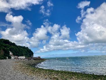 Torquay - BBC Weather