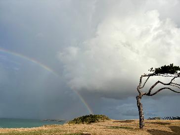 Farnborough - BBC Weather