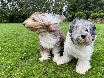 Aylesbury - BBC Weather