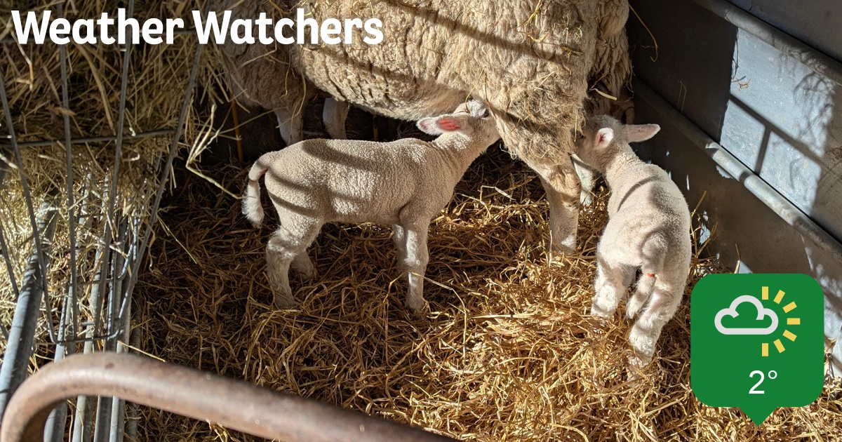 Report - BBC Weather Watchers