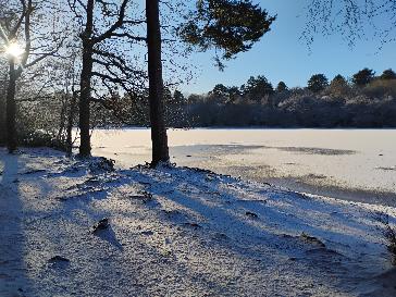 Sutton Coldfield - BBC Weather